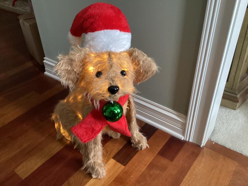 Holiday Living 2-ft LED Dog with Ornament Christmas Decoration in the ...
