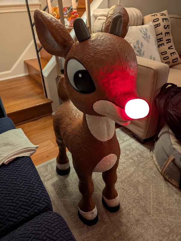 Shop Rudolph the Red-Nosed Reindeer Rudolph and Friends Collection at ...
