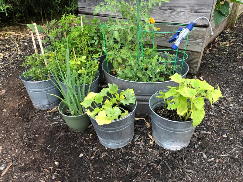 Project Source Quick-attach Mini 7-in Low Pressure 5-sq ft Residential ...