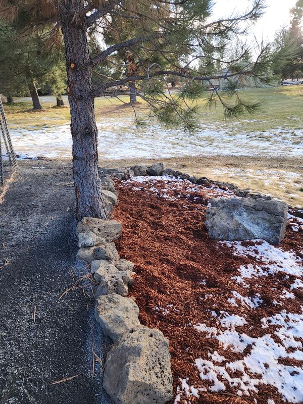 Shop Premium Black Color Mulch Project at Lowes.com