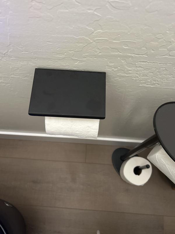 BYH Essence Brushed Nickel Wall mount Single post Toilet Paper Holder 1 ...
