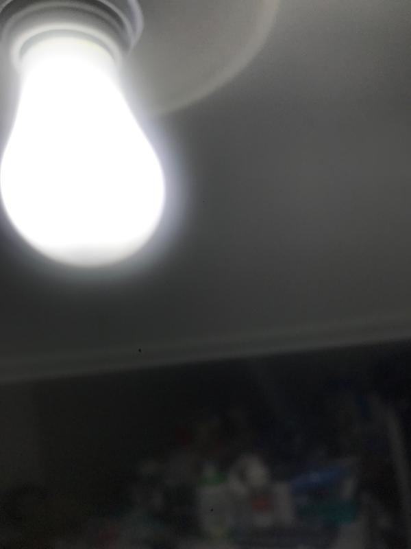 Utilitech 40 -Watt EQ A15 Soft white Screw bases Dimmable LED General purpose Light Bulb 3 -Pack ...