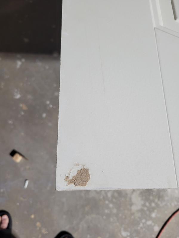 Masonite Cheyenne 30-in x 80-in (primed) 2-panel Smooth Hollow core ...