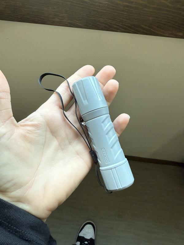 Project Source 200-Lumen 2 Modes LED Flashlight with Batteries Included ...