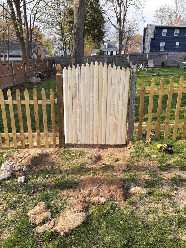 3/4-in x 3-in x 6-ft Spruce pine fir Stockade Fence Picket in the Wood ...