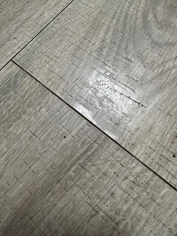 Pergo Portfolio + WetProtect Crema Oak 10-mm T x 7-1/2-in W x 47-1/4-in ...