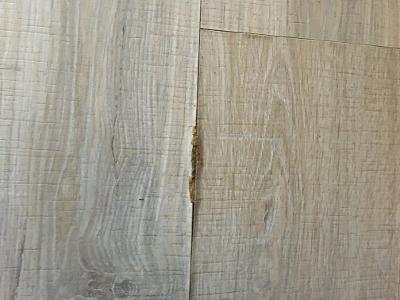 Pergo Portfolio + WetProtect Crema Oak 10-mm T x 7-1/2-in W x 47-1/4-in ...