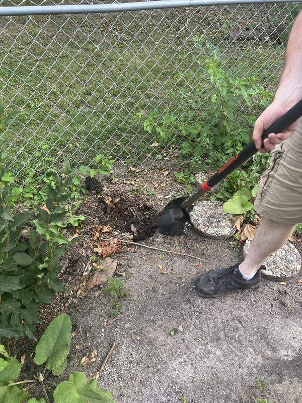 Razor-Back 49-in Fiberglass Handle Digging shovel in the Shovels ...