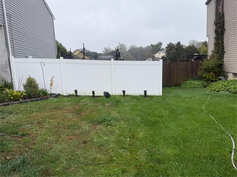 White Sky Pencil Holly Foundation/Hedge Shrub in 2.5-Quart Pot O478401 ...