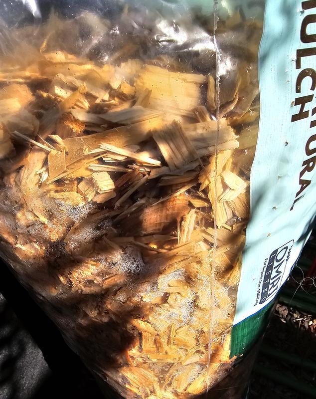 Miracle-Gro Organic All Natural 1.5-cu ft Dye Free Mulch in the Bagged ...