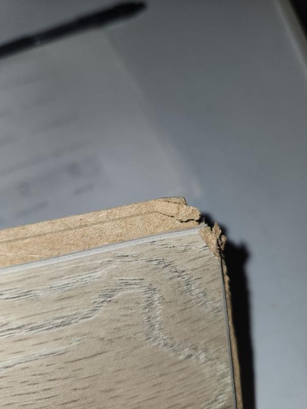 Bruce Enlightened Earth Fall Retreat 12-mm T x 8-in W x 48-in L ...