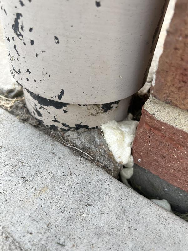 ENERFOAM 25 Professional Foam Sealant and Adhesive 24-oz Spray gun ...