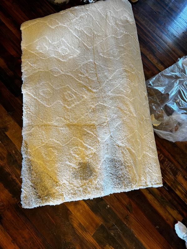 allen + roth Lucia 2 X 3 (ft) Ivory Indoor Geometric Throw Rug L8020W2L ...