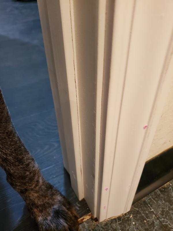 Masonite 30-in x 80-in (primed) Hollow Core 2-panel Left Hand Molded ...