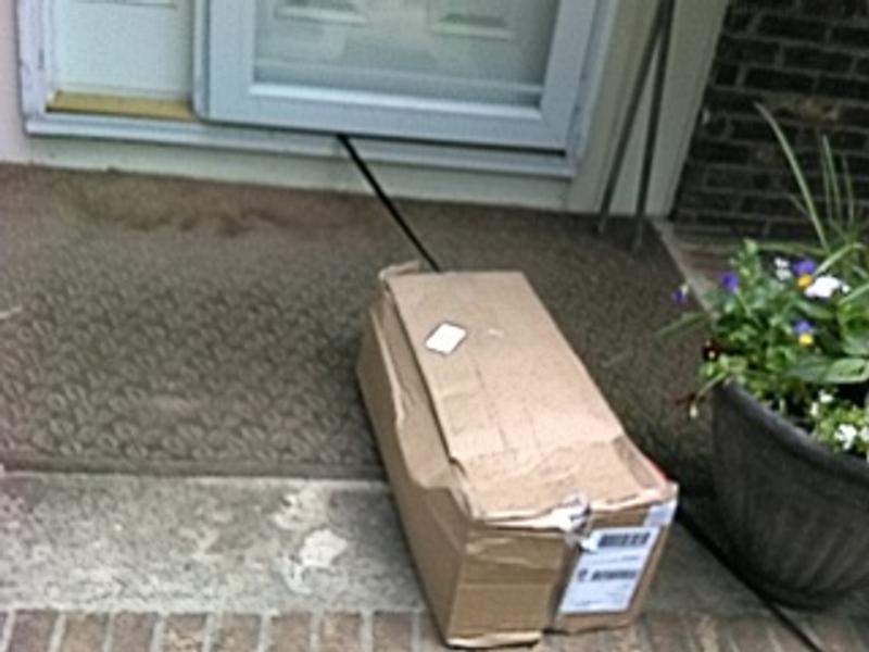 Altman Plants Red True Bloom True Spirit Rose 8-Quart in Pot 0881520 at ...