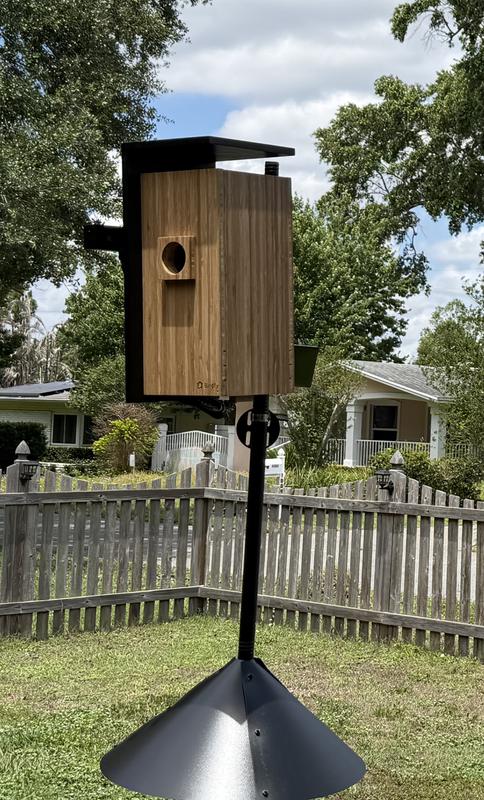 Birdfy 15.7-in H Brown Wood Bluebirds Nesting Box Predator Proof Bird ...