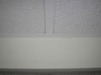 SpectraTile 2-ft x 2-ft White PVC Drop Ceiling Tile ( 12 -Pack, 48-sq ...