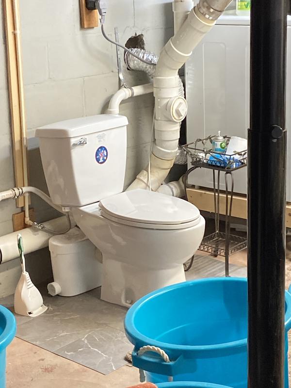 SANIFLO Sani Access 3 White Elongated Chair Height Soft Close 2-piece ...