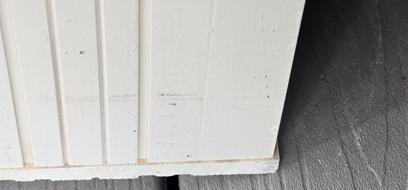 RELIABILT 28-in x 80-in Hollow Core 2-panel round top plank Right Hand ...