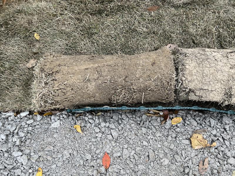 Harmony Outdoor Brands 500-sq ft Natural Zoysia Sod Pallet ZOYS500DCOM ...