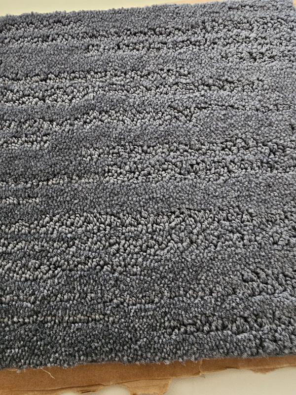 STAINMASTER PetProtect Weekend Retreat Tumbleweed Brown 39-oz sq yard ...