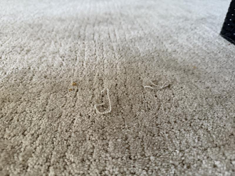 STAINMASTER PetProtect (Sample) Unconditional Inner Balance Gray 35.1 ...