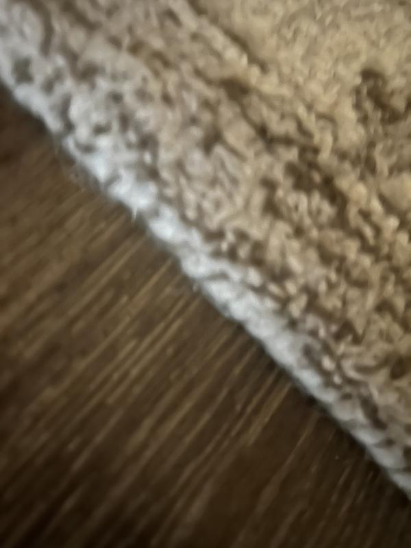 allen + roth Callaway 8 x 10 (ft) Tufted Wool Mocha Rectangular Indoor ...