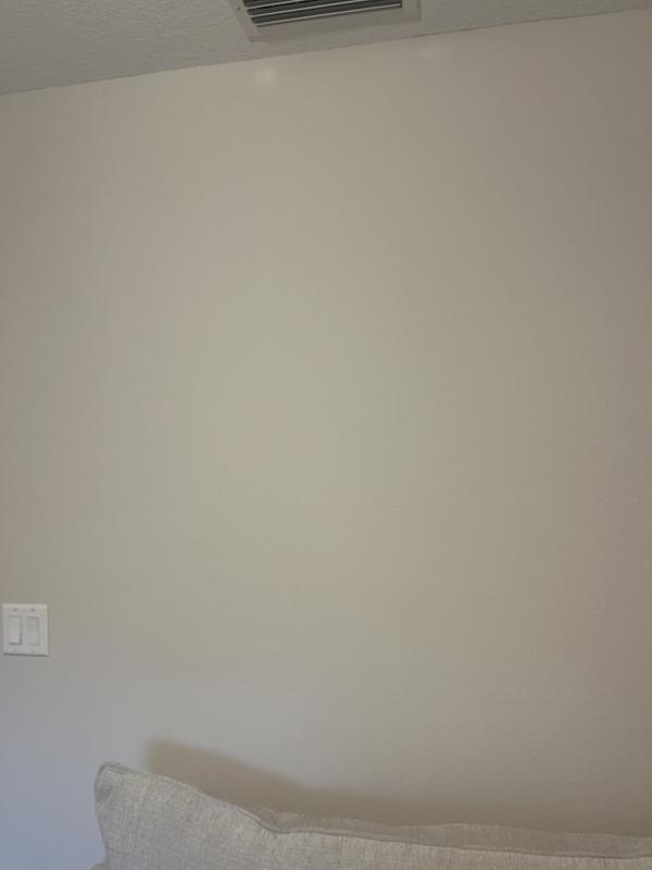 HGTV HOME by Sherwin-Williams Ovation Plus Flat Purple Freedom 4002-7c ...