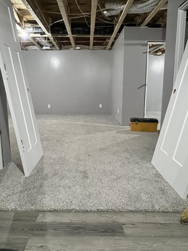 STAINMASTER (Sample) Exquisite Accent II Lasting Moment Gray 52.6-oz sq ...