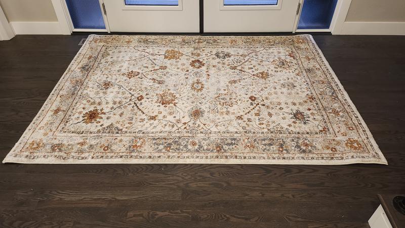 allen + roth with STAINMASTER Camille Border 8 X 10 (ft) Beige Indoor ...