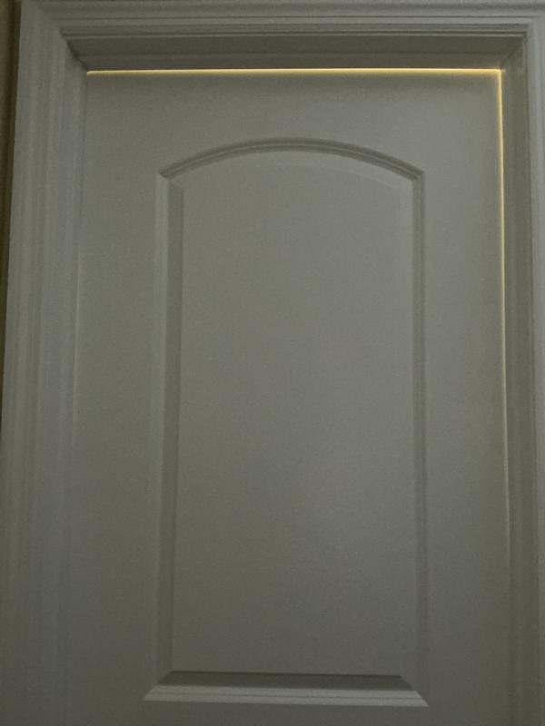 JELD-WEN 24-in x 80-in Primed Hollow Core 2-panel Left Hand Molded ...