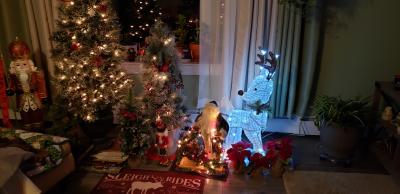 Holiday Living 36-in Deer Sculpture with White LED Lights at Lowes.com