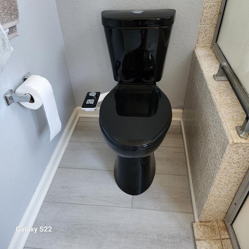 Project Source Pro-Flush Black Elongated Chair height 12-in Rough-In ...