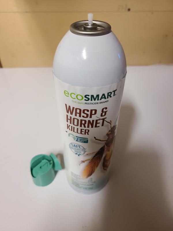 EcoSmart 14 Natural Wasp And Hornet Killer With Plant-Based, 48% OFF