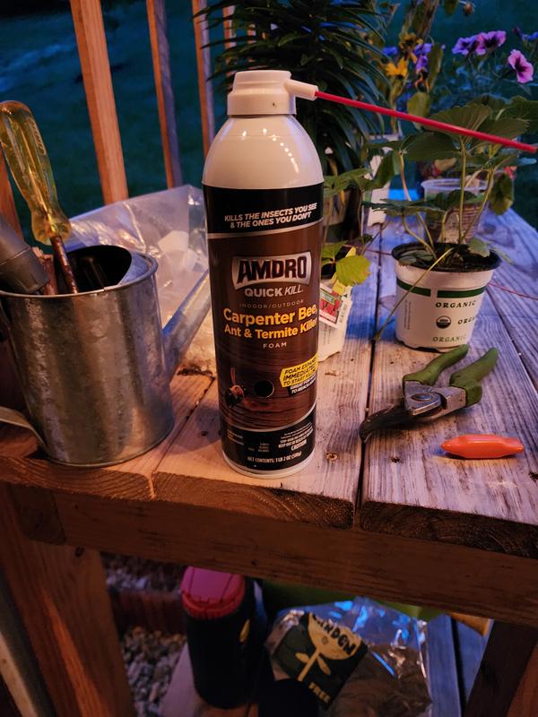 AMDRO Quick Kill 18-oz Carpenter Bee; Ant And Termite, 57% OFF