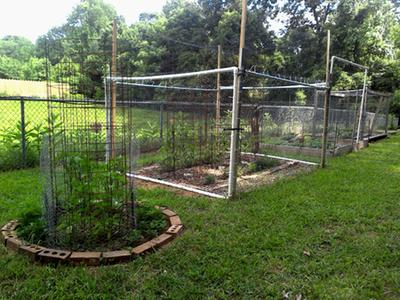 Grip-Rite 5-ft x 150-ft Steel Wire Mesh Roll in the Remesh department ...