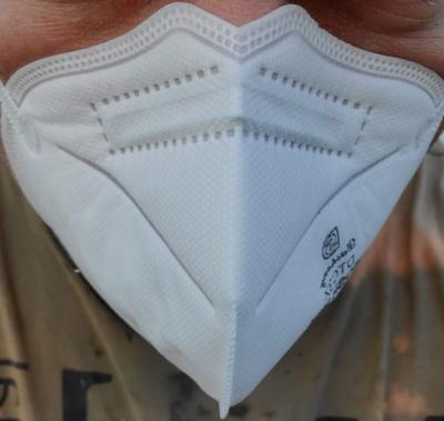 Dasheng White Disposable N95 Safety mask 5 -Pack in the Respirators ...