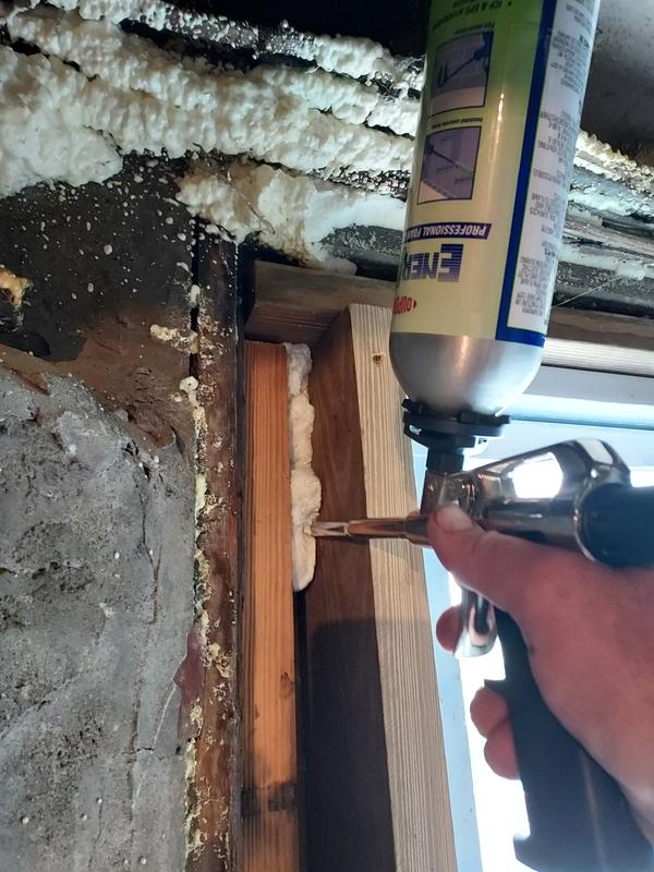 ENERFOAM 25 Professional Foam Sealant and Adhesive 24-oz Spray gun ...