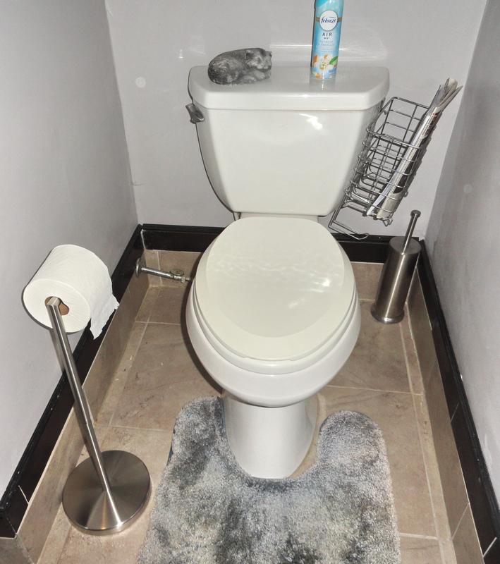 BWE Brushed Nickel Freestanding Double Post Toilet Paper Holder A-91036 ...