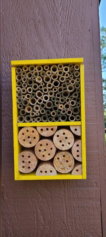 Nature's Way Yellow Pine Flush-mount Bee House at Lowes.com
