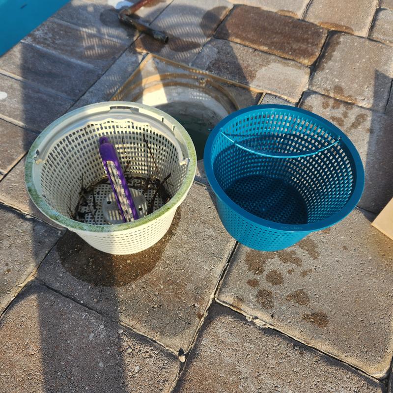 Project Source Skimmer Basket in the Pool Filter & Skimmer System Parts ...