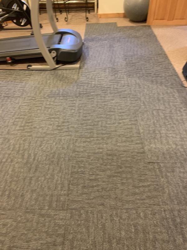 Shaw Solace 24-in x 24-in Sullivan Brown Commercial Adhesive Indoor ...