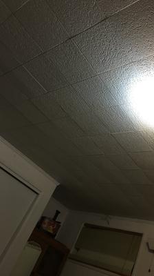 Armstrong Ceilings EASY UP 20 -Pack 96-in Galvanized steel Silver Track ...