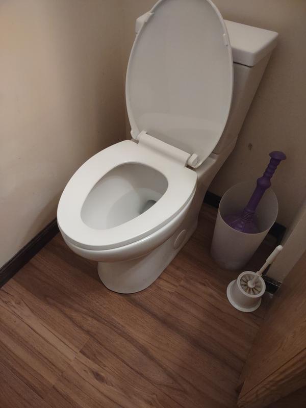 Project Source Caserta White Dual Flush Elongated Chair Height Soft ...