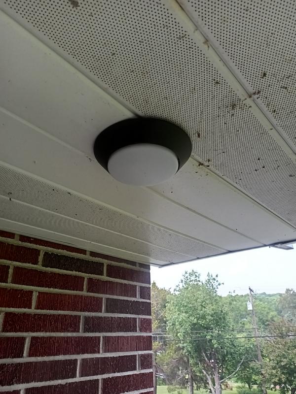 Lithonia Lighting Versi Lite 1 -Light 7.25-in Bronze Indoor/Outdoor ...