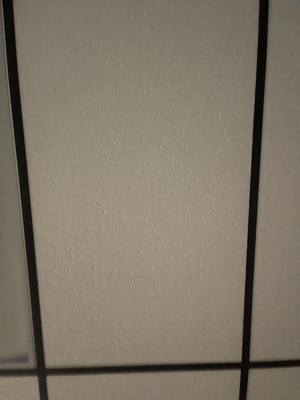 Shop Armstrong Ceilings Impression 4-ft x 2-ft Ceiling Tile Kit at ...