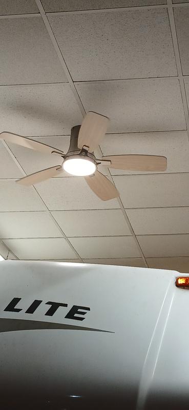 SILJOY 52-Inch Nickel Flush Mount Ceiling Fan With LED Lights (APP and ...