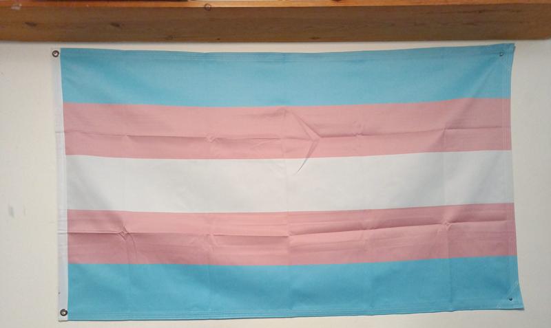 Anley Rip-Proof Technology Double Sided 3-Ply Transgender Flag 3x5 Foot ...
