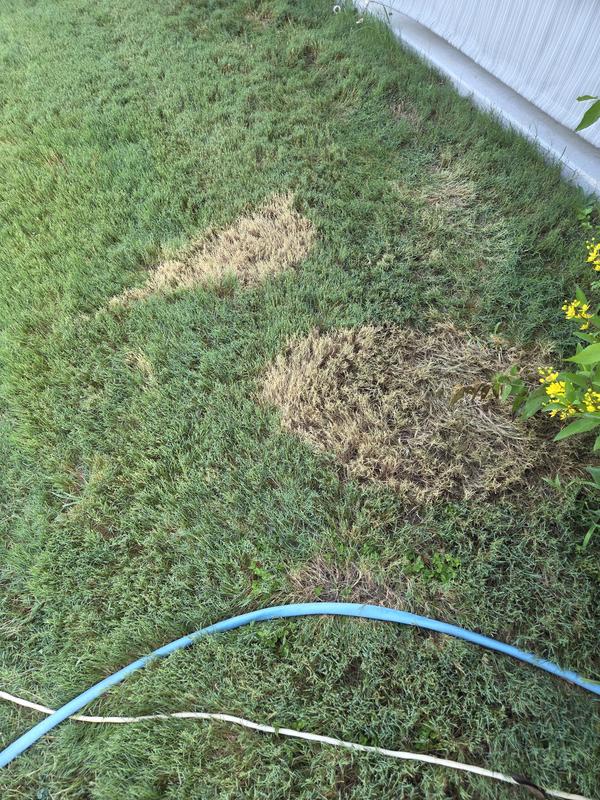 Toro TimeCutter 60-in 24-HP V-twin Gas Zero-turn Riding Lawn Mower ...