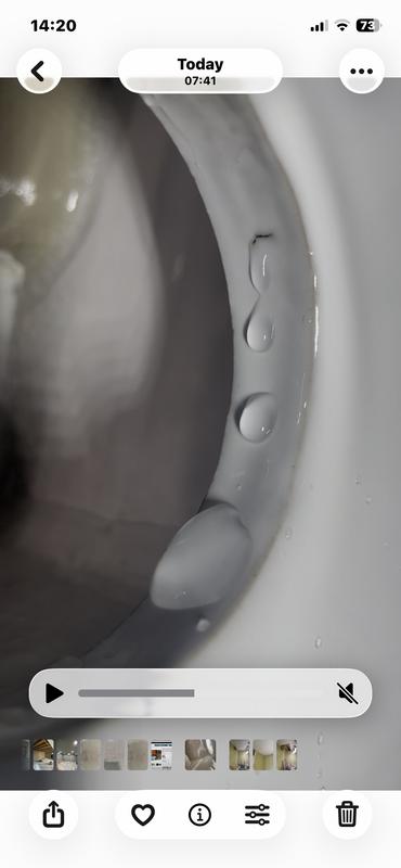 DeerValley Toilets Black Elongated Standard height 12-in Rough-In ...